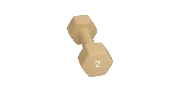 Vekt 2 Kg Abilica Dumbell 2 Kg Speider Sport As